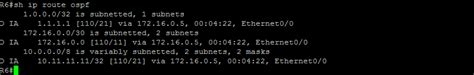 RouteLeakMPLS L VPN OSPF As PE CE RouteLeak
