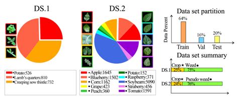 crop and weed classification based on automl