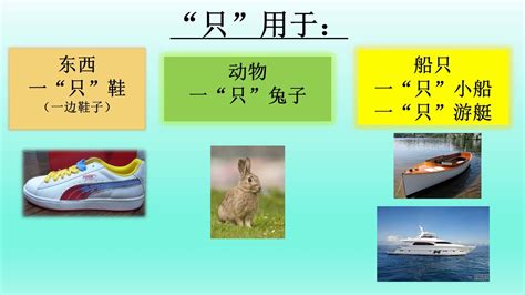 二年级 量词 Youtube