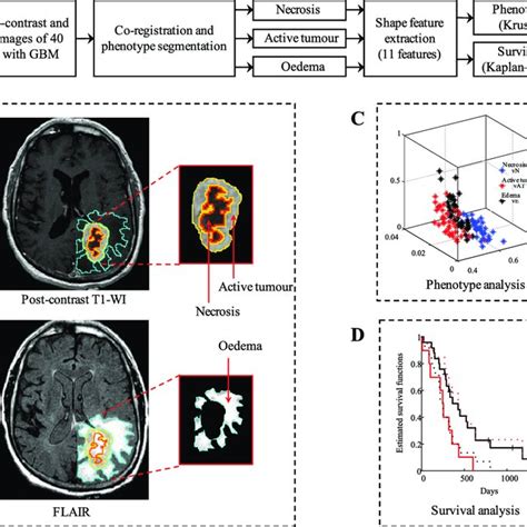 A A Processing Diagram Of The Proposed Method And Analyses B An