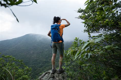 산 꼭대기 절벽 가장자리의 전망을 바라보는 성공적인 등산객 노랑에 대한 스톡 사진 및 기타 이미지 노랑 녹색 레저 활동 Istock