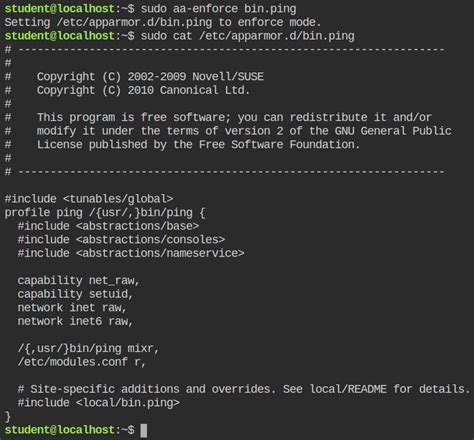 Disallowing Capnetraw Capability For Root User Using Apparmor