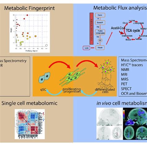 Schematic Representation Of The Different Experimental Approaches For
