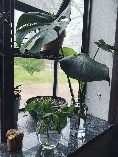 The Balance Experiment