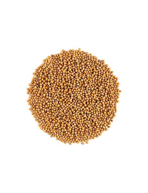 Gele Mosterd Zaadjes Herbier De France