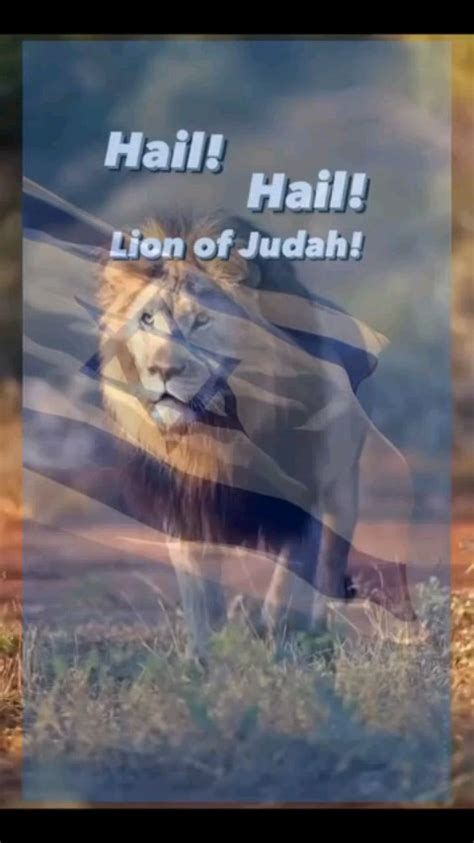 Behold The Lion 🦁 The Tribe Of Judah The Root Of David Has Conquered