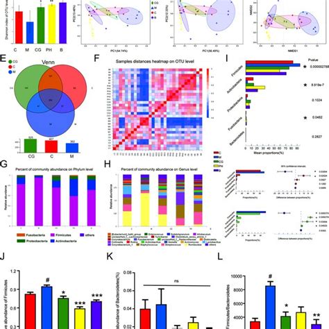 Nafld Activity Score Nas System Download Scientific Diagram