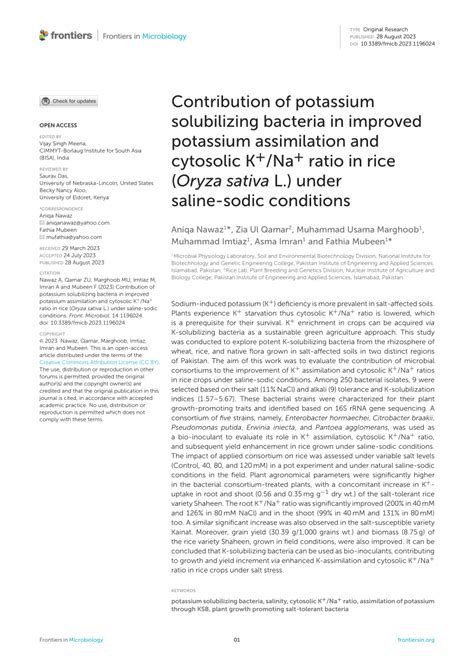 Pdf Contribution Of Potassium Solubilizing Bacteria In Improved Potassium Assimilation And