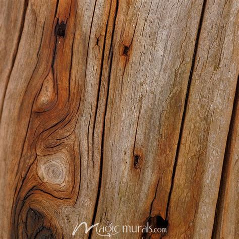 Nature S Textures IX Wallpaper Mural By Magic Murals