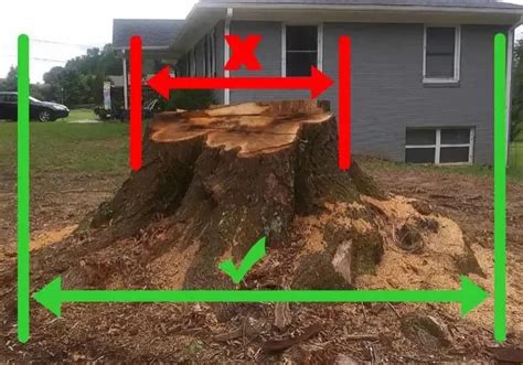 How To Measure A Stump S And K Stump Grinding