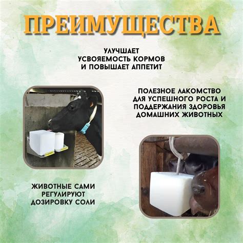Соль лизунец для животных брикет с отверстием 2 шт по 4 кг купить с
