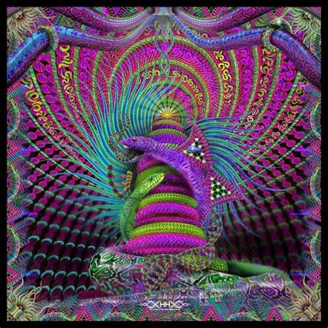 What The Psychedelic Experience Really Is