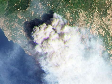 Incendies Dans Le Monde La Planète Brûle Nouveau Record De Nombre De