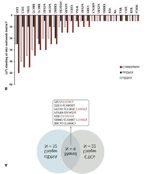 The Combinatory Analysis Of Genetic Alterations Using Cfdna And Ctcdna Download Scientific