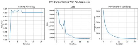 A Review Of SVM And SMO Golden Hat