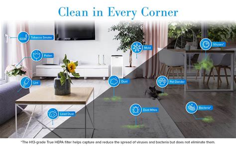 Levoit Lv H135 Replacement Filter Vesync Store