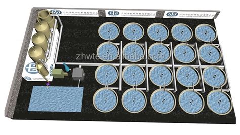 Fish Ras Recycling Aquaculture System Indoor Tilapia Lobster Fish Farm