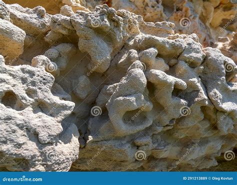Weathering Of Carbonate Sedimentary Rocks Shell Rocks Of Cape Kaliakra