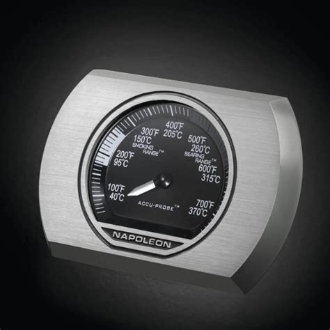 Napoleon Rogue 525 A Gas Propano