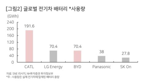 글로벌 전기차 배터리 시장 분석 2dayskr