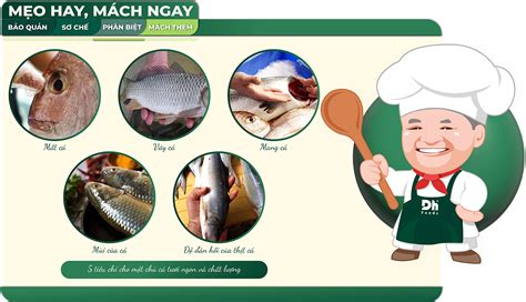 Bật Mí Cách Chọn Cá Tươi Ngon Cho Mọi Bữa ăn Tròn Vị