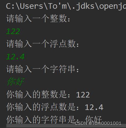 JavaScanner类从标准输入读取数据 CSDN博客