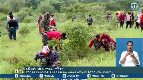 ዋዕሮታት ደቂ ኣንስትዮ ትግራይ ኣብ ቀፅሪ ሓውልቲ ሰማእታት ኮስዃስ ተኽሊ ኣካይደን፡፡ Youtube