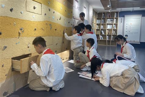 重庆市文物考古研究院三馆一院正式启动运行 重庆考古