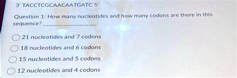 3 Tacctcgcaacaatgatc 5 Question 1 How Many Nucleotides And How Many Codons Are There In This