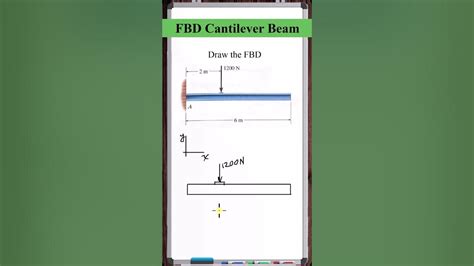 Constructing The Free Body Diagram For A Simple Cantilever Beam Youtube