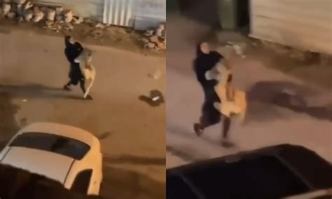 Viral Video Woman Carries Lion In Arms Internet Calls Her Wonder Woman