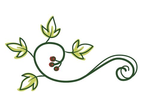녹색 텍스트 구분선 페이지 구분 기호 디자인 라인 테두리 월계수 식물과 유기 프레임 꽃 장식 요소 자연 번성 곡선 라인 벡터