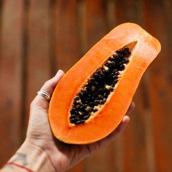 Cara Menanam Pepaya Dari Biji Agar Cepat Tumbuh