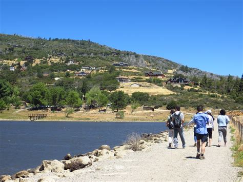 Wang Lab Molecular Engineering For Cellular Imaging And Reprogramming Ucsd