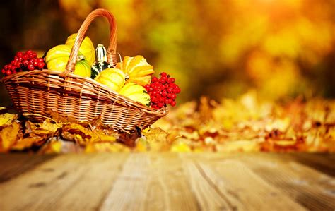 Fall Harvest wallpaper ① Download free amazing HD backgrounds for