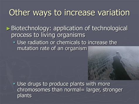 Ppt Selective Breeding And Transgenic Manipulation Powerpoint