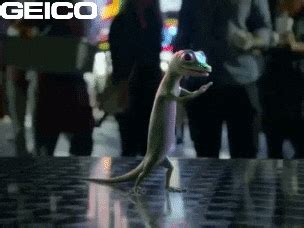 Geico Gecko 