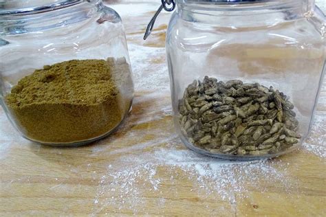 Bug Bread Packs A Lot Of Protein A Little Crunch Nation And World News