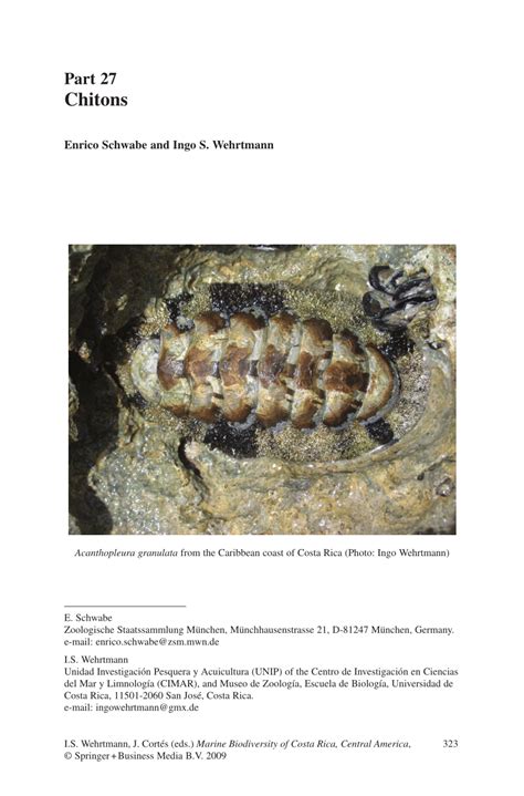 Pdf Chitons