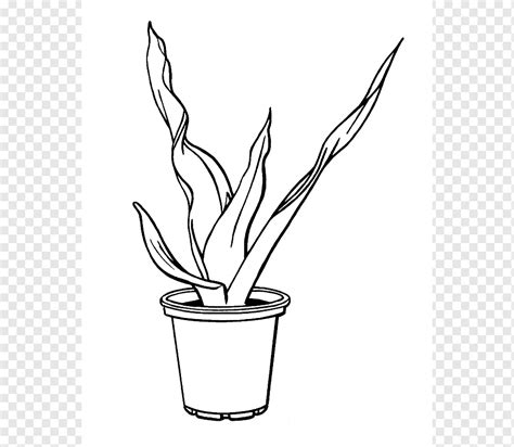 Gambar Hitam Putih Pot Bunga