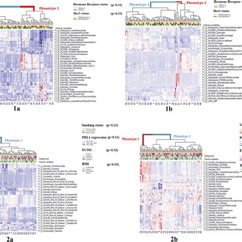 Heatmap Of Radiomic Derived Features Created Using R Programing Download Scientific Diagram