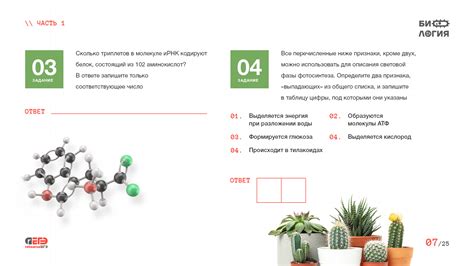 Презентации для онлайн школы подготовки к ЕГЭ Behance