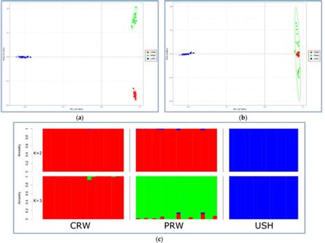 Genes An Open Access Journal From Mdpi