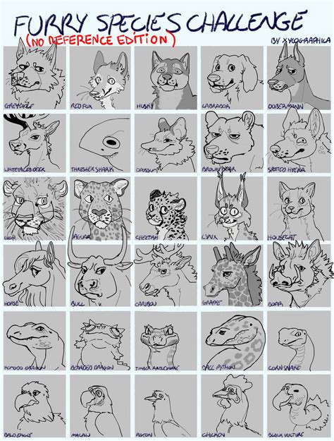 Furry Species Challenge By Louas On Deviantart