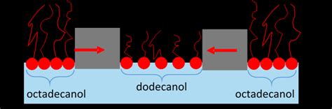 Experiment With Octadecanol Placed Behind The Two Barriers Experiments