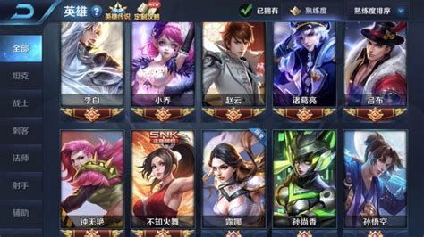 王者荣耀：这几个英雄残血追吗？玩家：不追不追，根本就是浪费时间程咬金