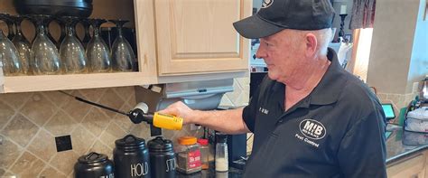 Seabrook Cockroach Control Local Roach Exterminator