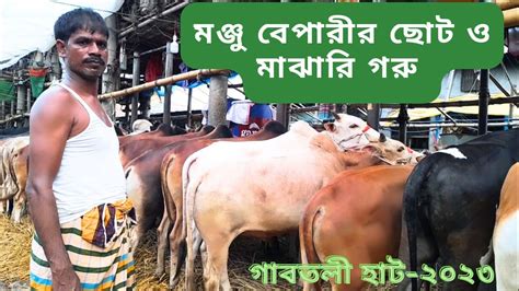 গাবতলী হাটের মঞ্জু বেপারীর ছোট ও মাঝারি গরুর দাম জানুন গৃহস্থ