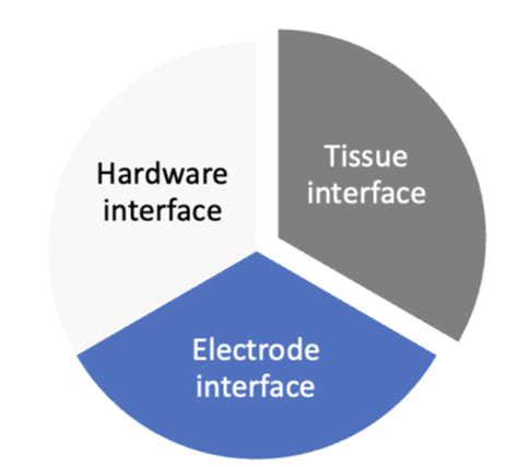 Designing Neural Interfaces Flashcards Quizlet