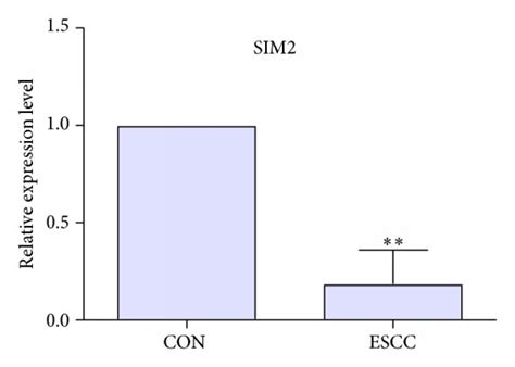 The Qrt Pcr Validation Of The Expression Level Of Degs In Ec Compared